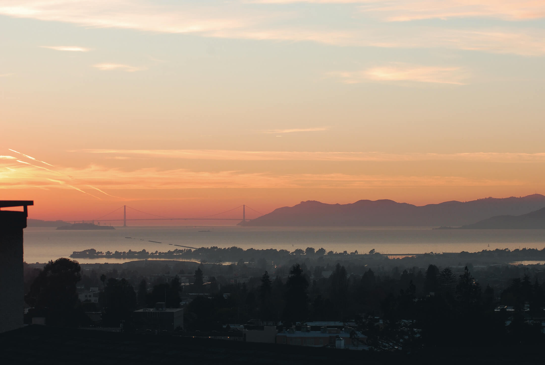 | New Bridge Foundation®