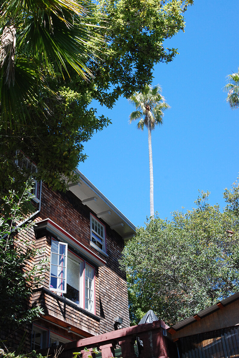 | New Bridge Foundation®